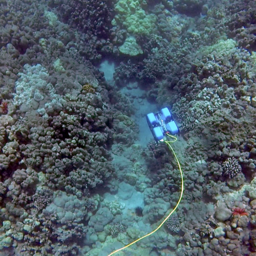 BlueROV2 - Blue Robotics